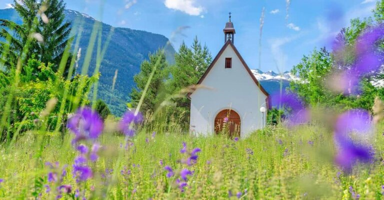 The Covenant of Love is a Source of Joy. - Schoenstatt Tampa Bay
